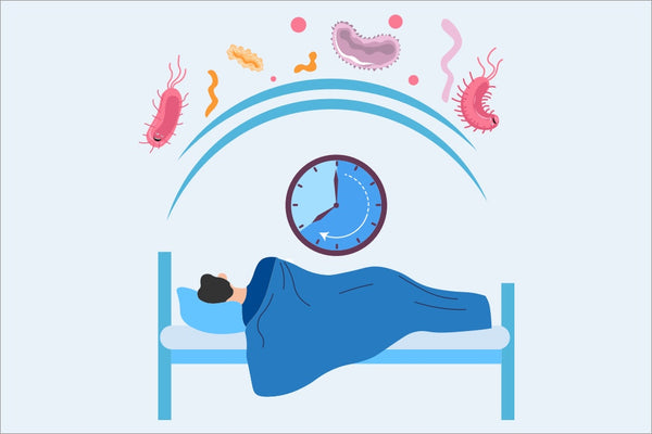 Sleep And Immune System: How Are They Connected? | Puffy Blog